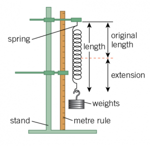 Forces in Action – GCSE Physics AQA Revision – Study Rocket