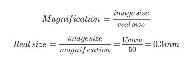 Microscopy – GCSE Biology (Combined Science) Edexcel Revision – Study ...