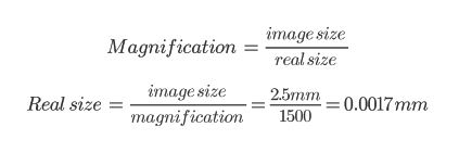 Microscopy – GCSE Biology (Combined Science) Edexcel Revision – Study ...